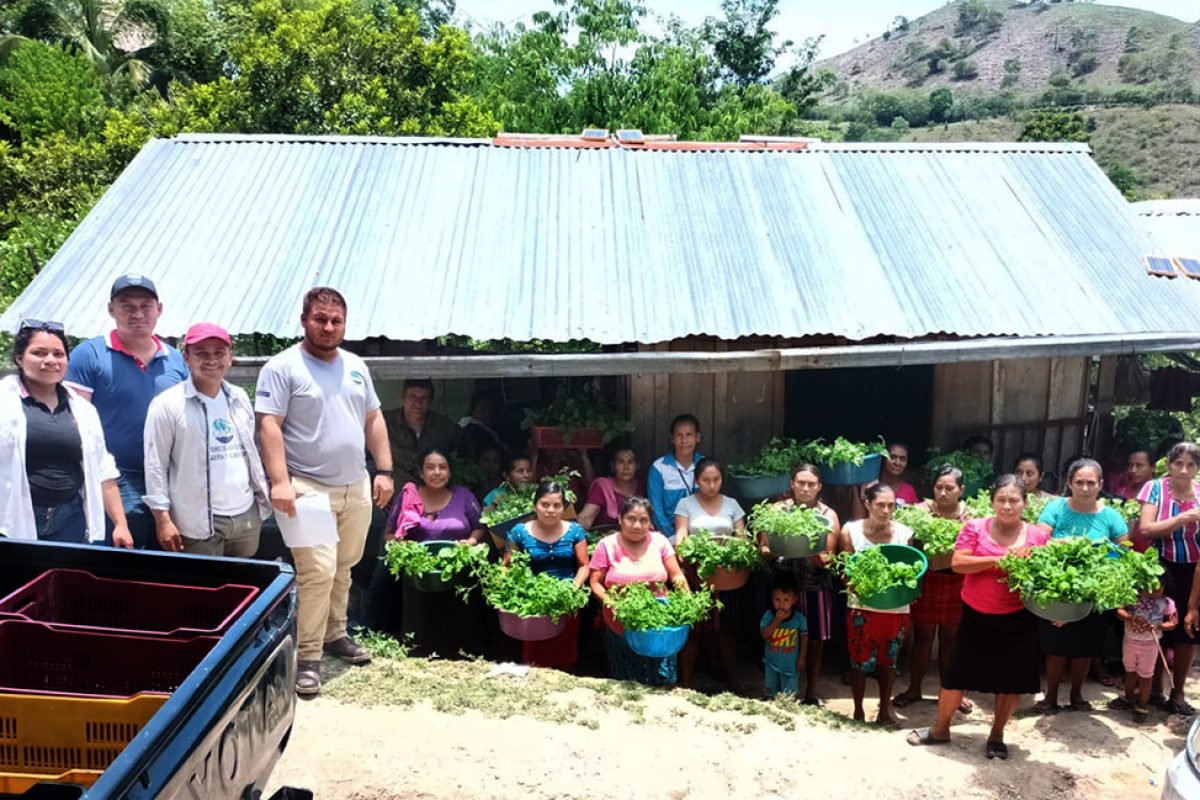 Entregan pilones de hortalizas en Melchor de Mencos – VIPETÉN