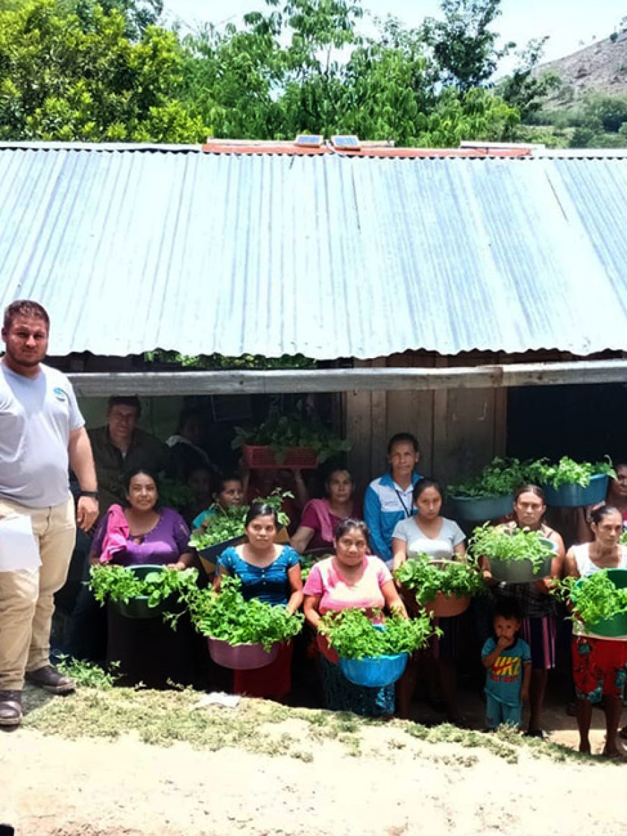 Viceministerio Encargado de Asuntos del Petén