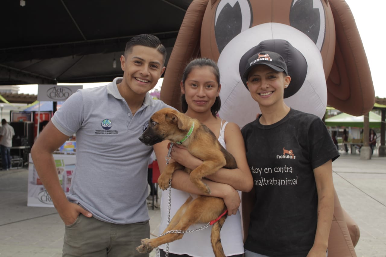 El MAGA llama a garantizar el bienestar animal ante el descanso de ...