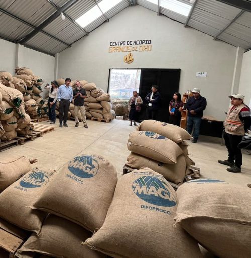 Productores de café intercambian experiencias para mejorar producción ...