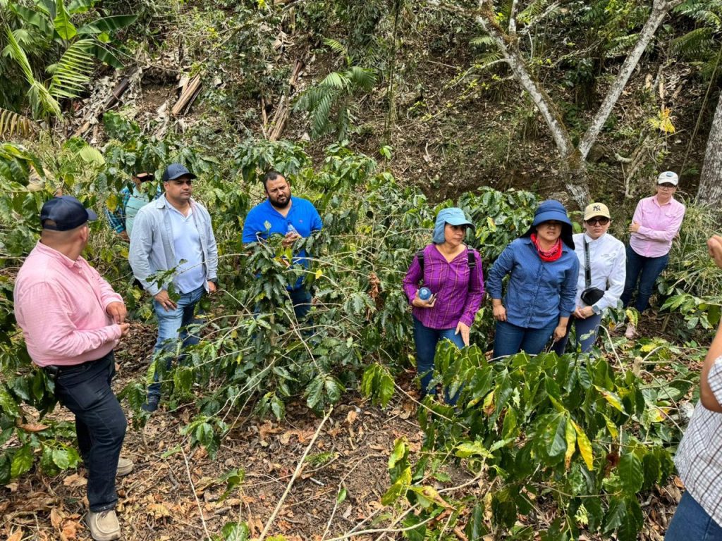 Enseñan prácticas de conservación de suelos en el corredor seco - Ministerio de Agricultura ...