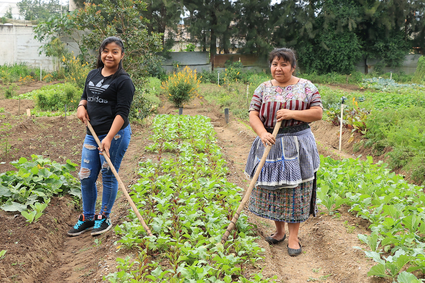 Los huertos son claves para el sustento familiar - Ministerio de ...