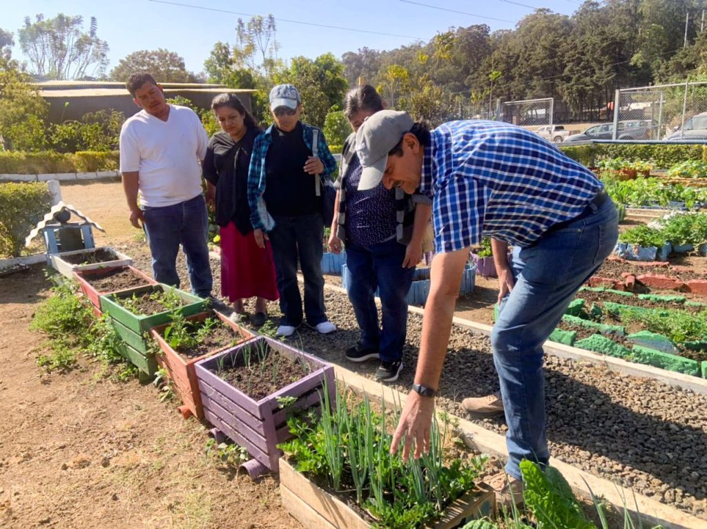Mujeres de Villa Nueva aplican buenas prácticas de agricultura en huerto comunal - Ministerio de ...
