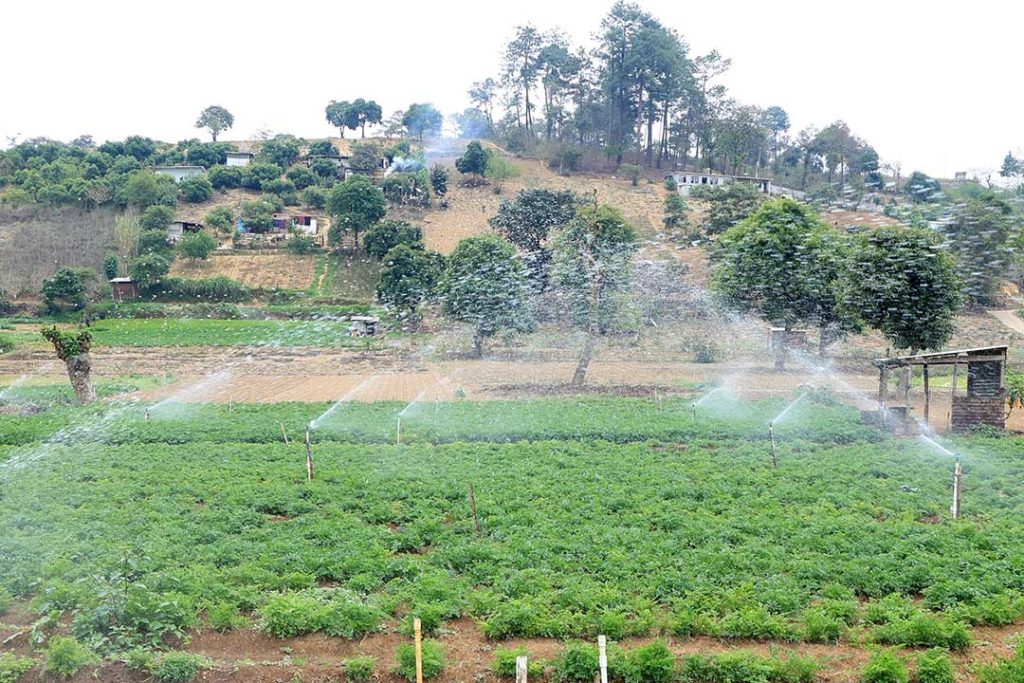 Riego por aspersión, el sistema versátil para hidratar los cultivos - Ministerio de Agricultura ...