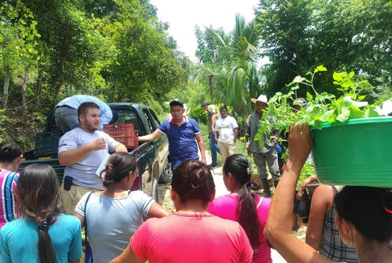 Entregan pilones de hortalizas en Melchor de Mencos - Ministerio de Agricultura Ganadería y ...