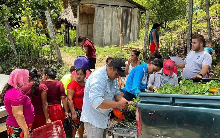 Entregan pilones de hortalizas en Melchor de Mencos - Gobierno de Guatemala