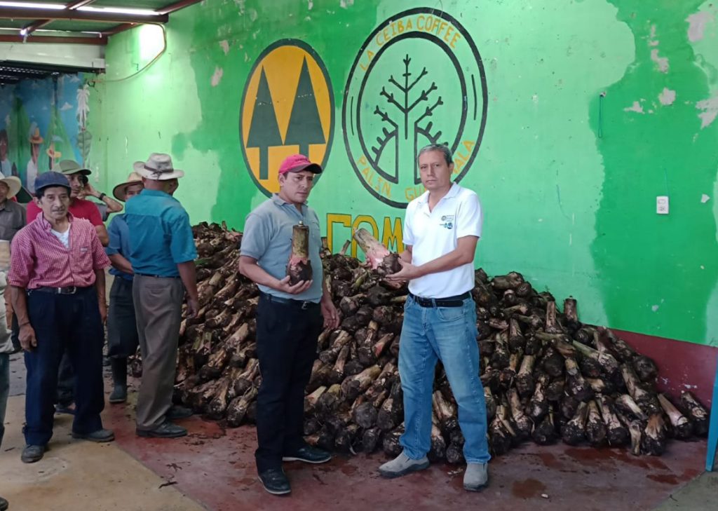 Promueven la diversificación de cultivos en Palín, Escuintla ...