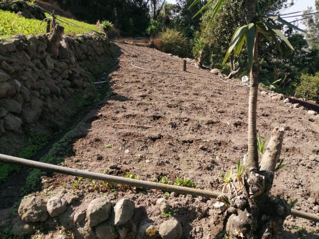 La conservación de los suelos mejora la producción agrícola - Ministerio de Agricultura ...