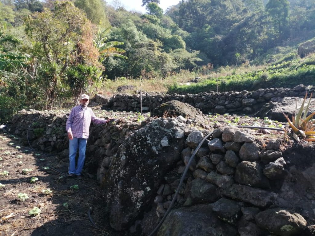 La conservación de los suelos mejora la producción agrícola - Ministerio de Agricultura ...