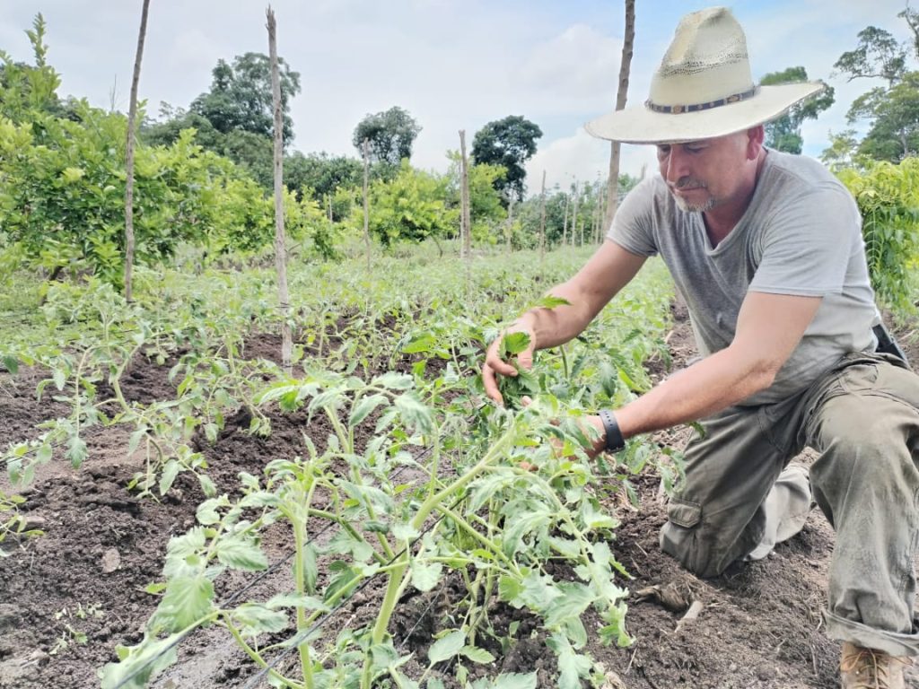 Brindan asistencia técnica para establecer un sistema MIAF - Ministerio de Agricultura Ganadería ...