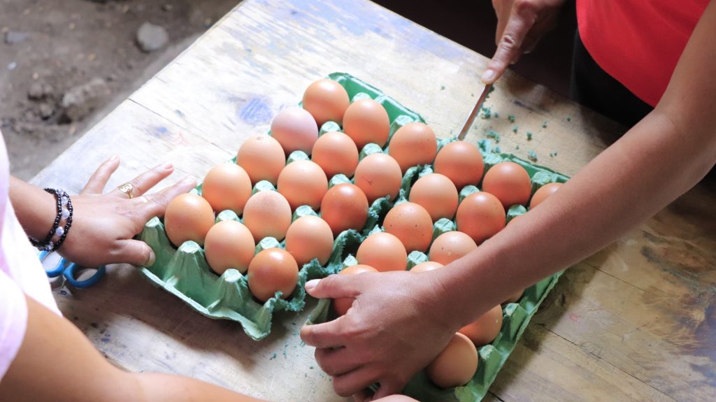 Beneficios del huevo - Ministerio de Agricultura Ganadería y Alimentación