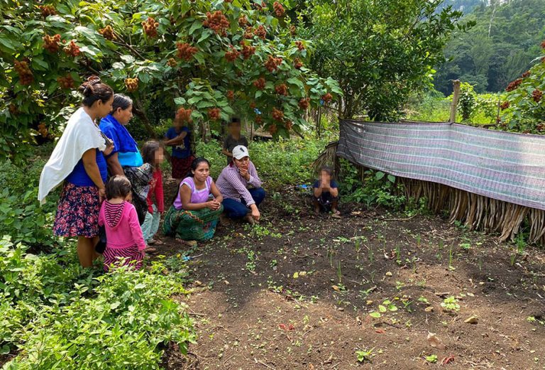 Brindan asistencia técnica en huertos familiares - Ministerio de Agricultura Ganadería y ...