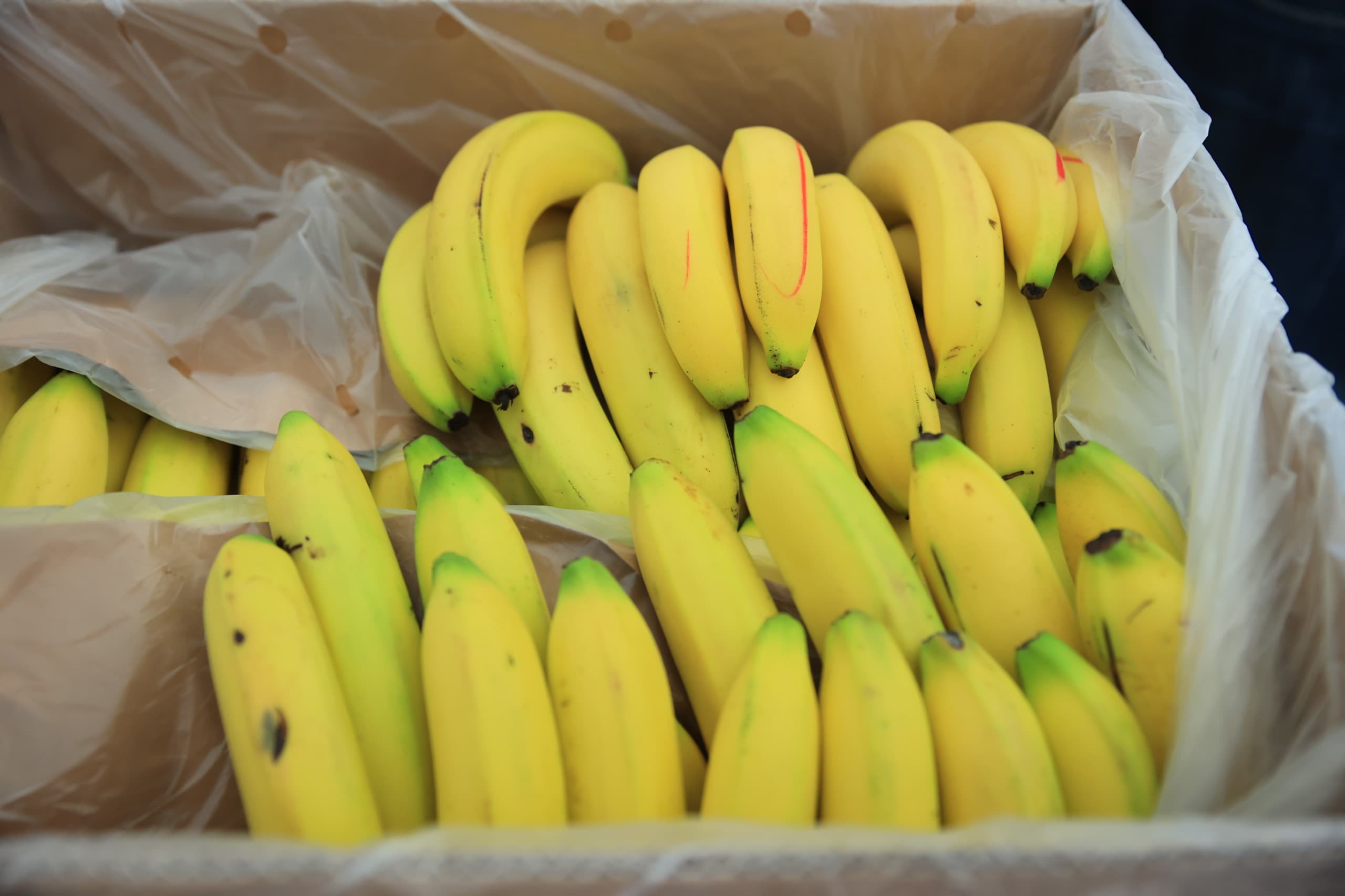 El banano - Ministerio de Agricultura Ganadería y Alimentación