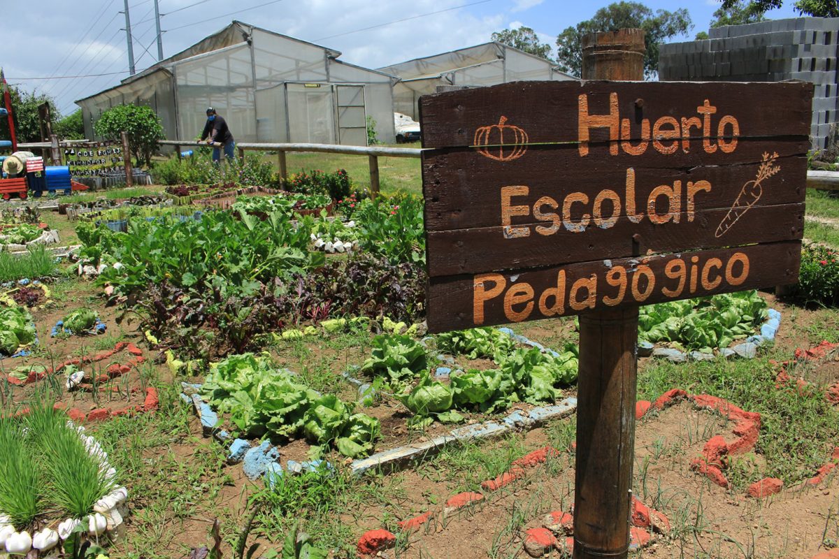 Huertos Escolares - Ministerio de Agricultura Ganadería y Alimentación