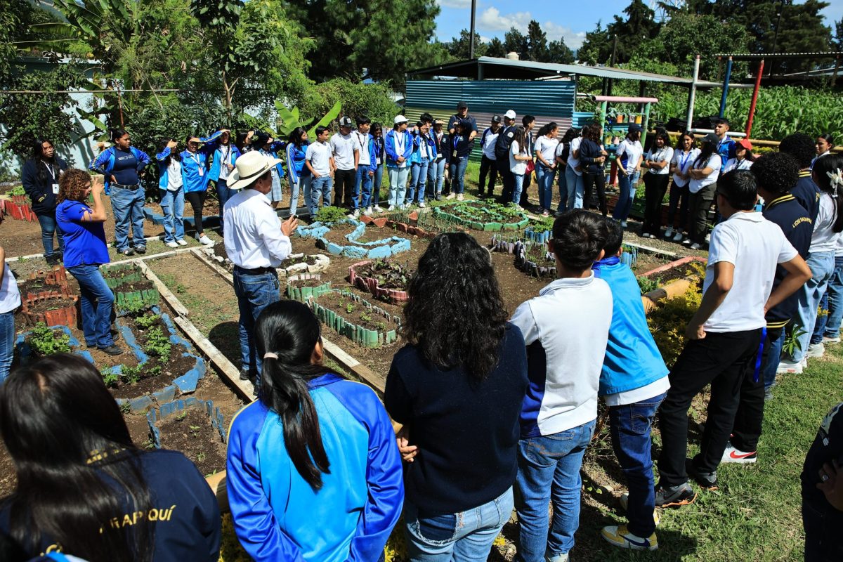 Jóvenes sembrando el futuro, agricultura familiar para alimentar el futuro - Ministerio de ...