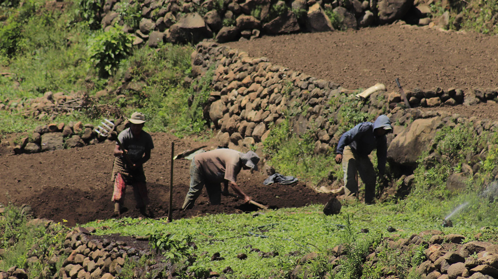 La conservación de suelos - Ministerio de Agricultura Ganadería y Alimentación