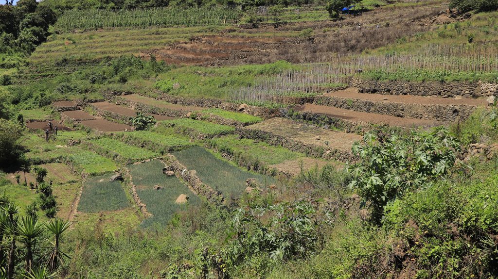 La conservación de suelos - Ministerio de Agricultura Ganadería y Alimentación