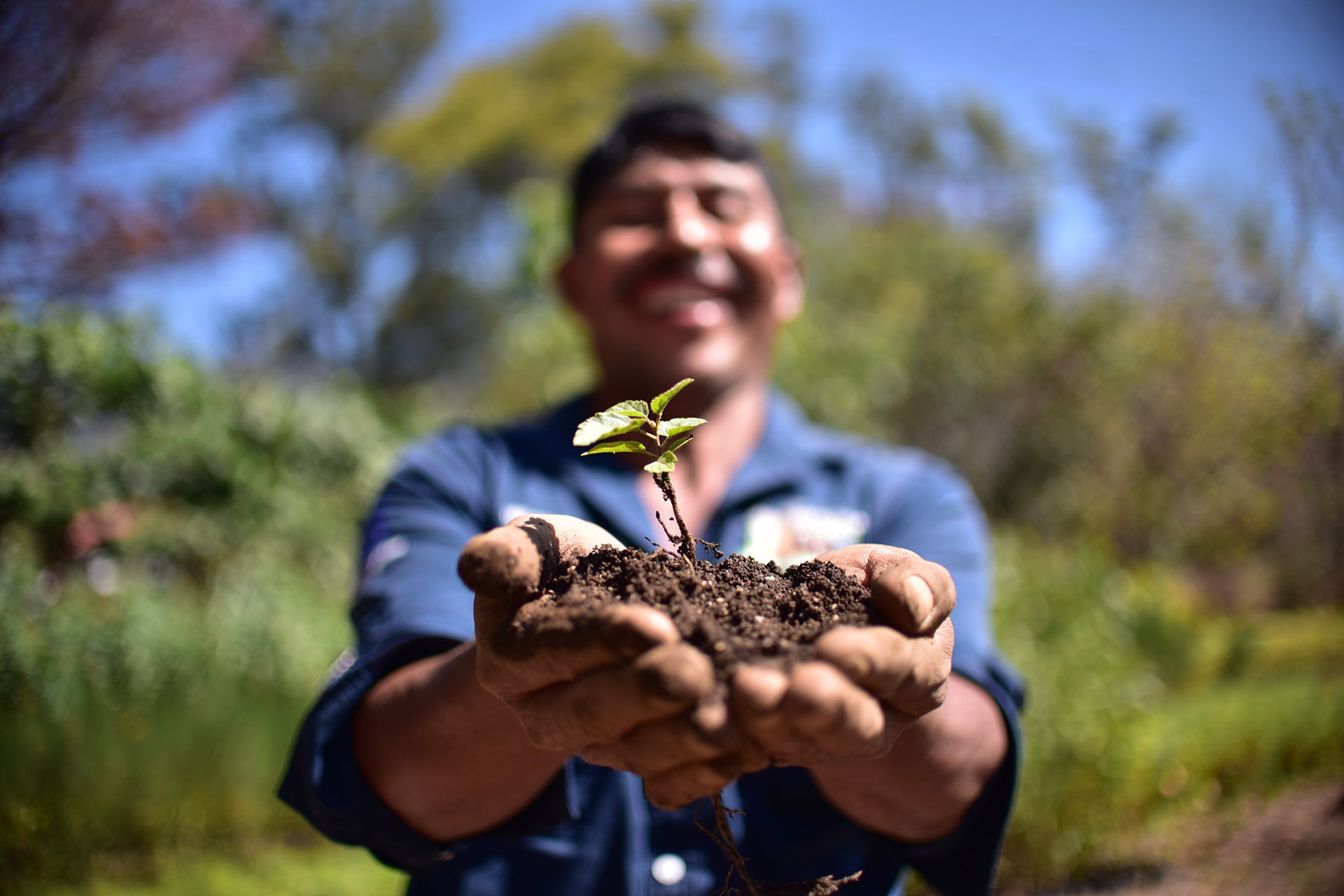 Pilón - Ministerio de Agricultura Ganadería y Alimentación
