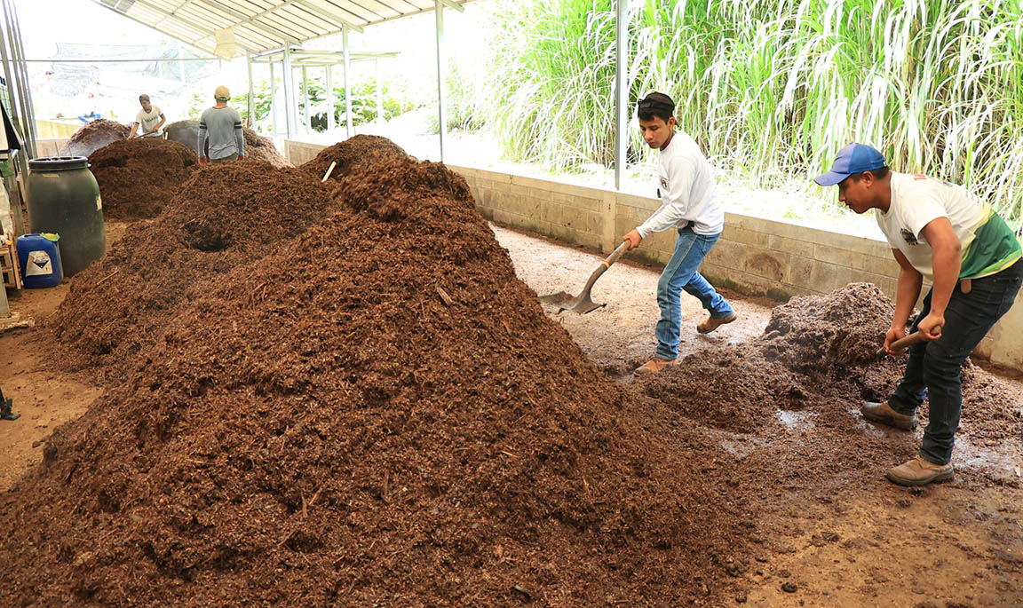 Agricultura generativa para mejorar los suelos - Ministerio de Agricultura Ganadería y Alimentación