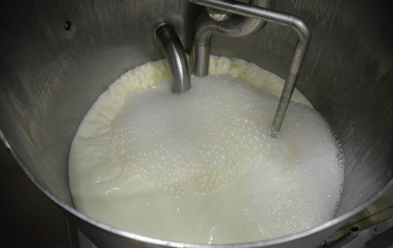 Así es el proceso de pasteurización de la leche - Ministerio de Agricultura Ganadería y Alimentación