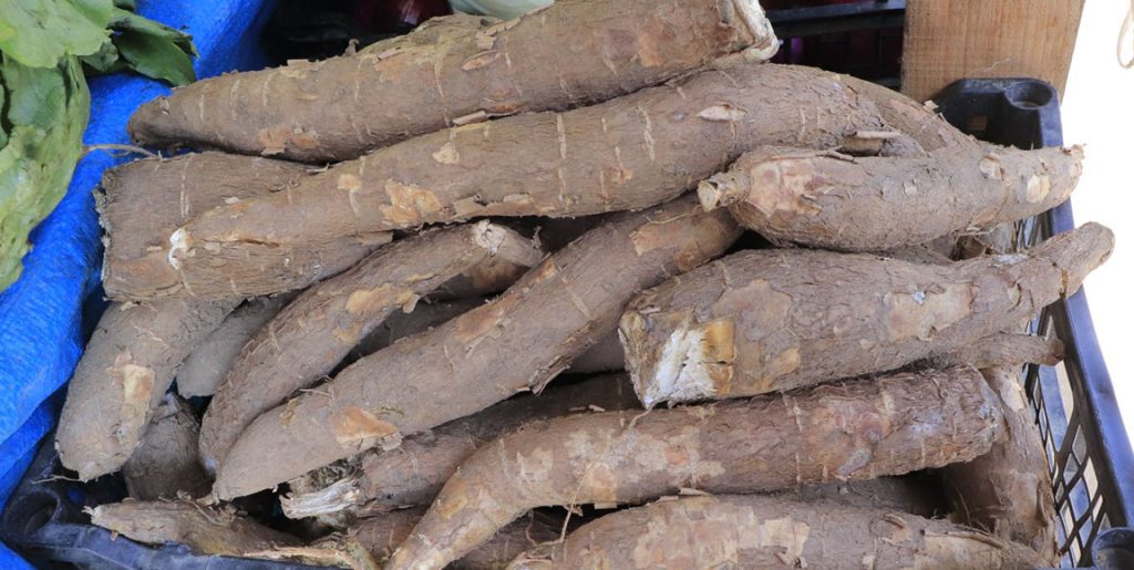 Conozca más acerca de los tubérculos - Ministerio de Agricultura ...