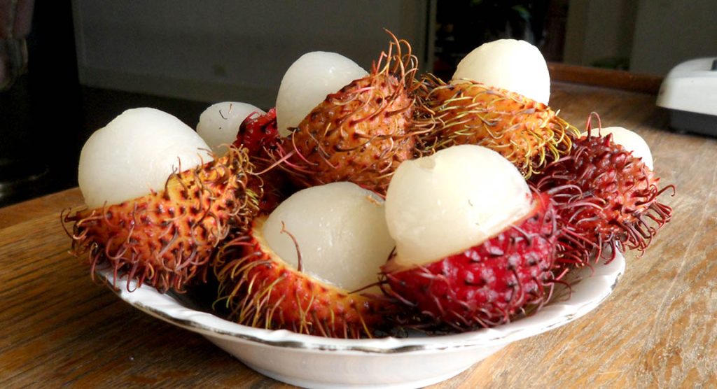La Licha o Rambután, otro fruto de grandes beneficios para la salud ...