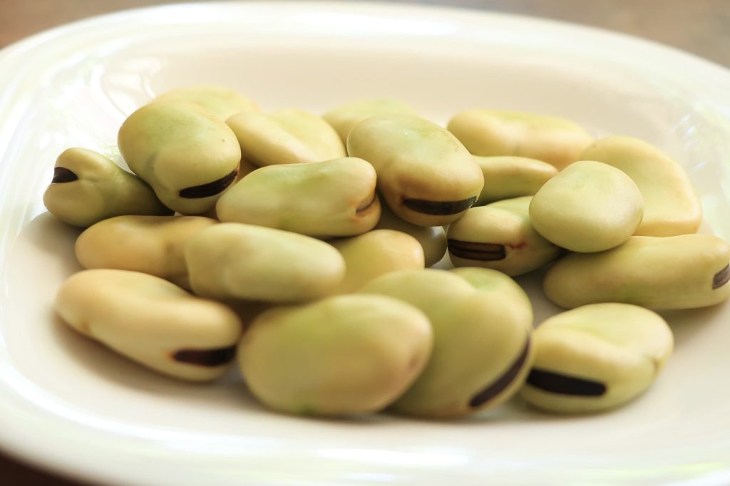 Los principales cultivos de haba están en tres departamentos ...