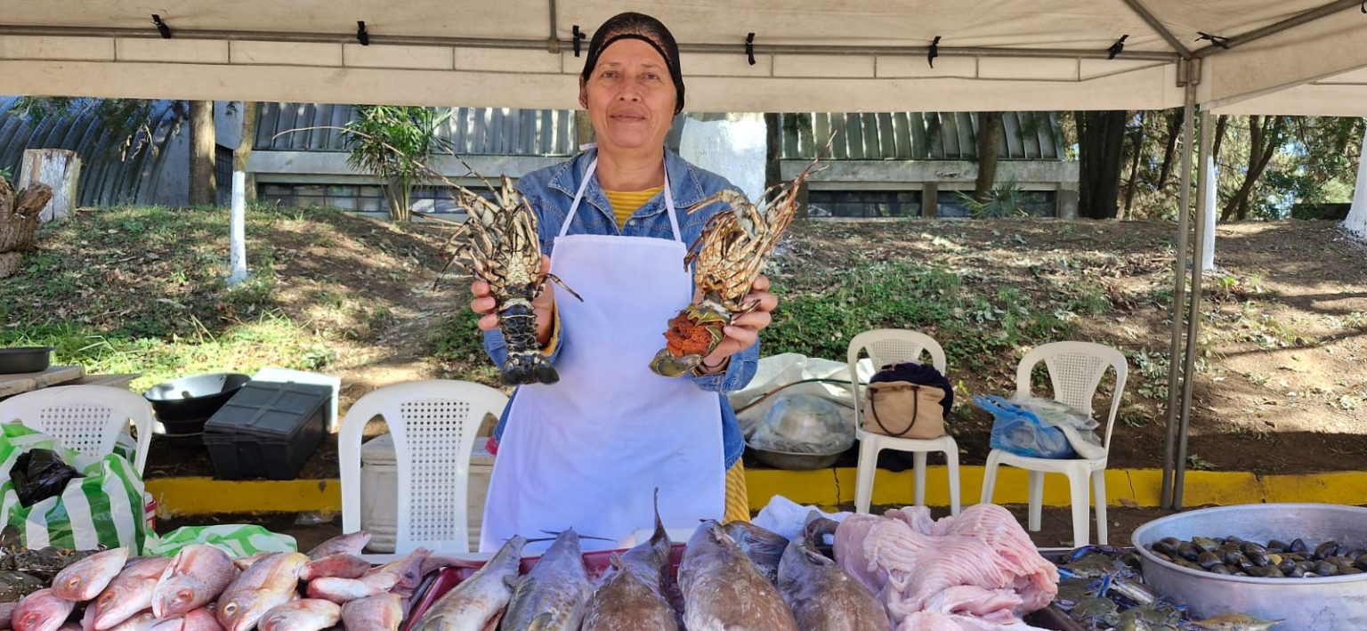 ¡Mariscos frescos! Celebran Feria para el Fomento de la Pesca y Acuicultura - Ministerio de ...