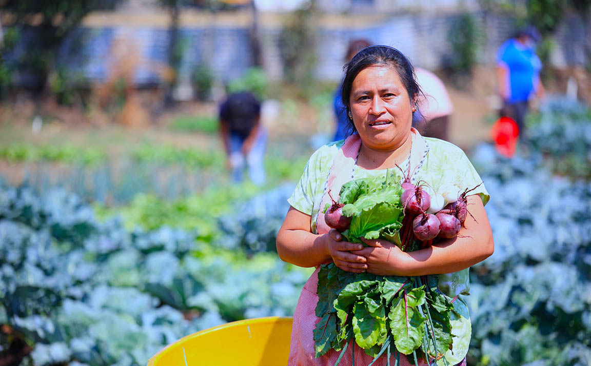 Agricultura sensible a la nutrición - Ministerio de Agricultura Ganadería y Alimentación