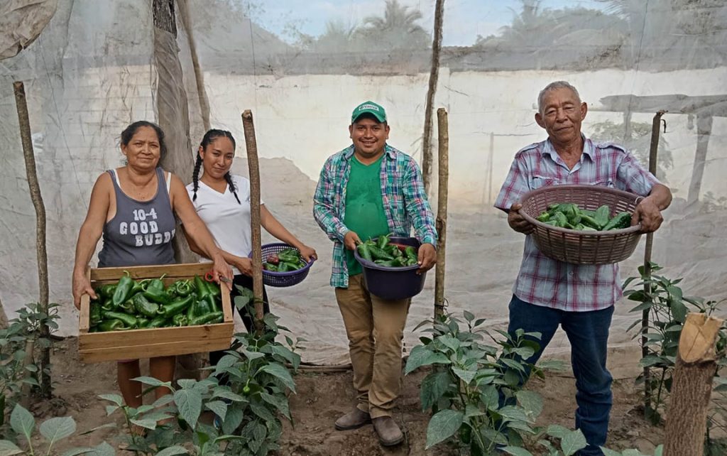 Fortalecimiento a la producción agrícola sostenible en Obraje Cruz ...