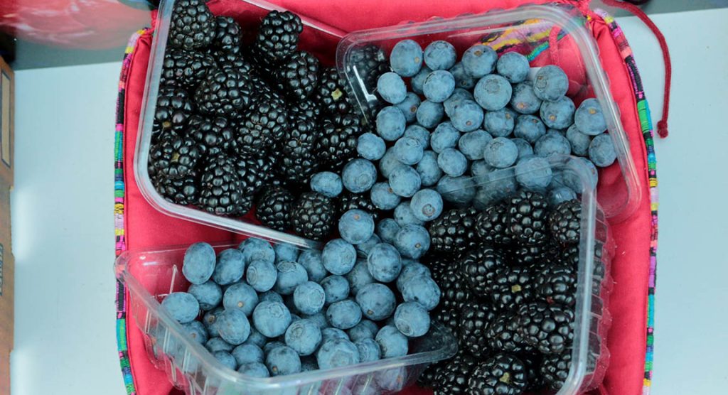 Conozca acerca de los frutos rojos - Ministerio de Agricultura ...