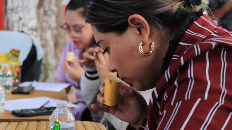 Alternativa de producción: Introducen variedad de banano resistente al ...