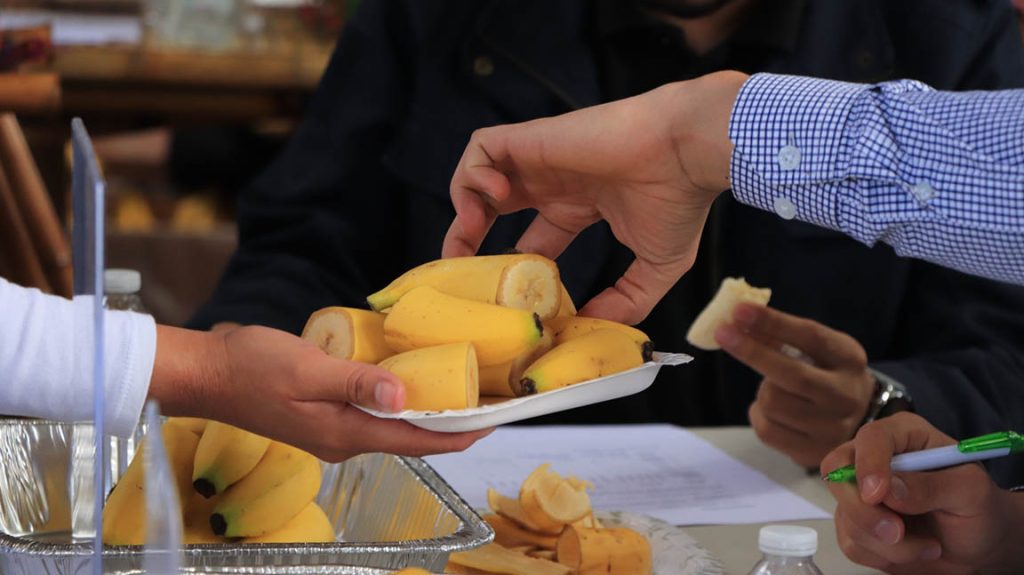 Alternativa de producción: Introducen variedad de banano resistente al ...