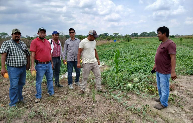 Brindan asistencia técnica a productores del PAE para mejorar cultivos - Ministerio de ...