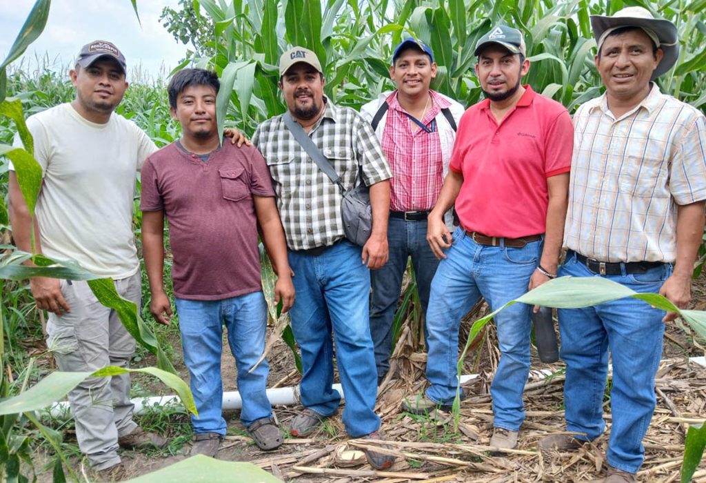 Brindan asistencia técnica a productores del PAE para mejorar cultivos - Ministerio de ...