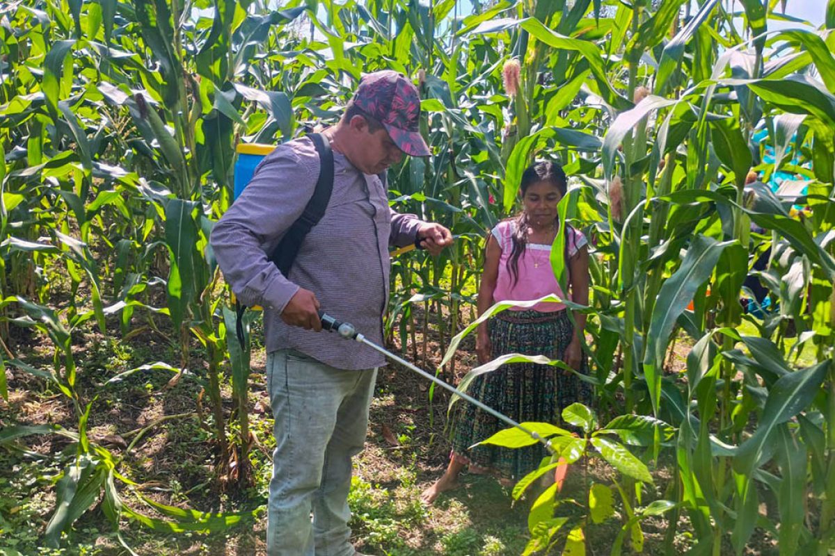 Brindan asistencia técnica para mejorar cultivos en Zona de Adyacencia - Ministerio de ...
