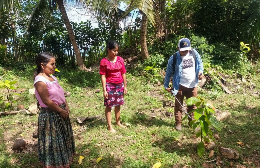 Brindan asistencia técnica para mejorar cultivos en Zona de Adyacencia - Ministerio de ...