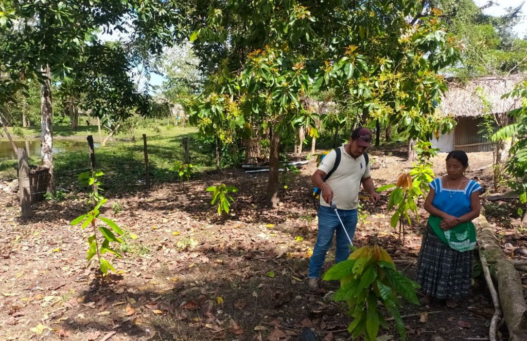 Brindan asistencia técnica para mejorar cultivos en Zona de Adyacencia – VIPETÉN