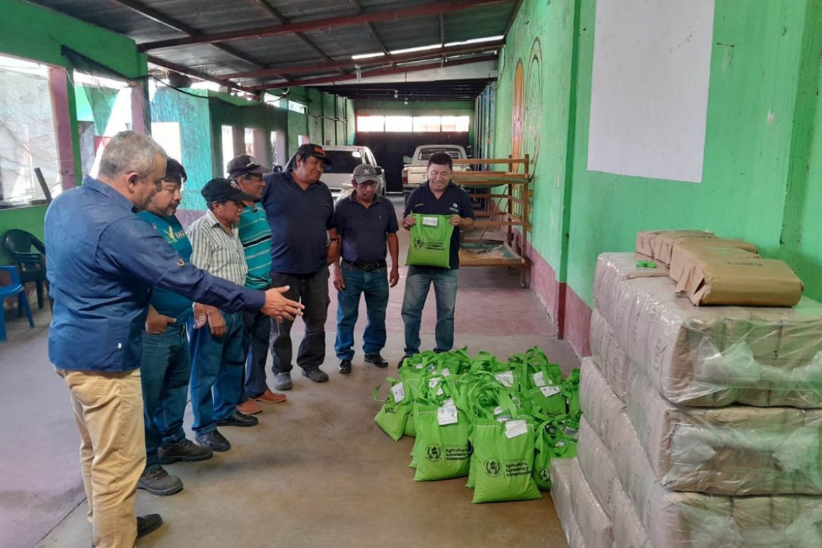 Entregan semillas y brindan asistencia técnica a productores de café de Escuintla - Ministerio ...