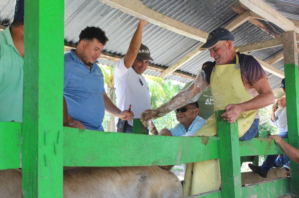 Aprenda a qué se le llama rastrojo - Ministerio de Agricultura ...