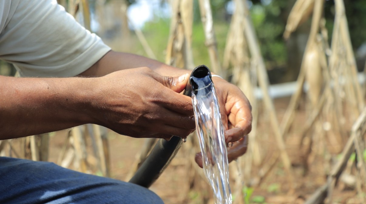 Aprenda a qué se le llama rastrojo - Ministerio de Agricultura ...