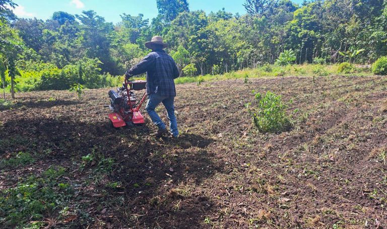 Brindan asistencia técnica para la producción de hortalizas - Ministerio de Agricultura ...