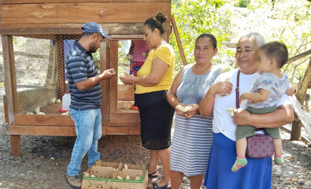 Jornada de vacunación de pollos de engorde en Melchor de Mencos – VIPETÉN