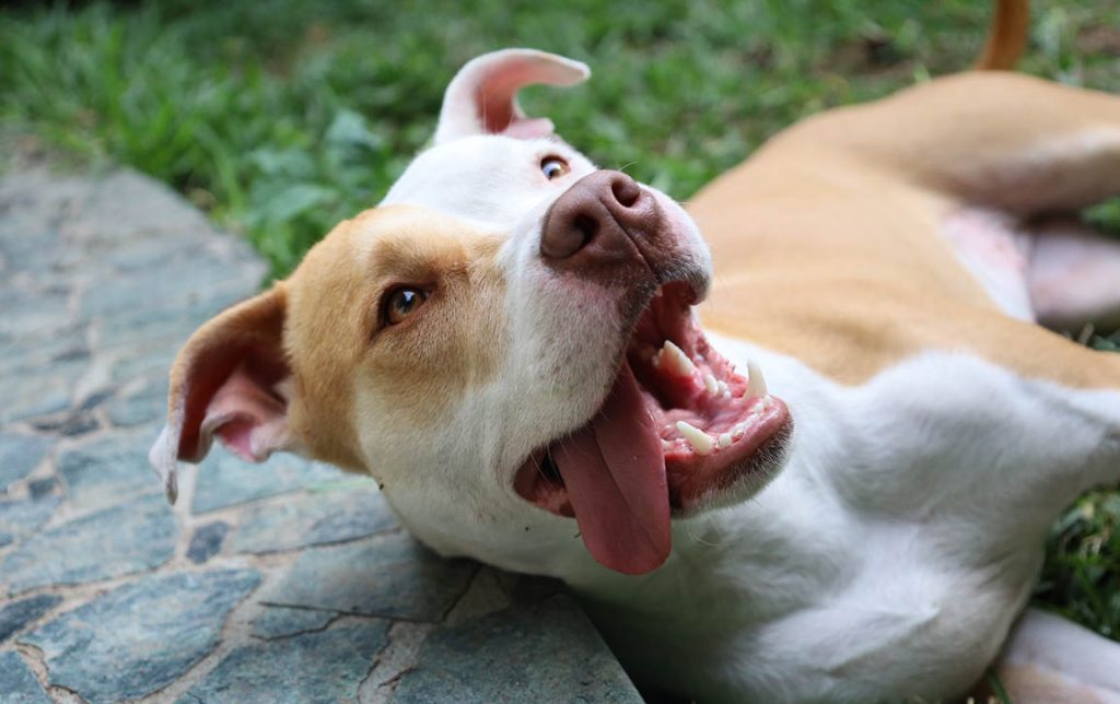 Conozca que son los CADER - Ministerio de Agricultura Ganadería y ...
