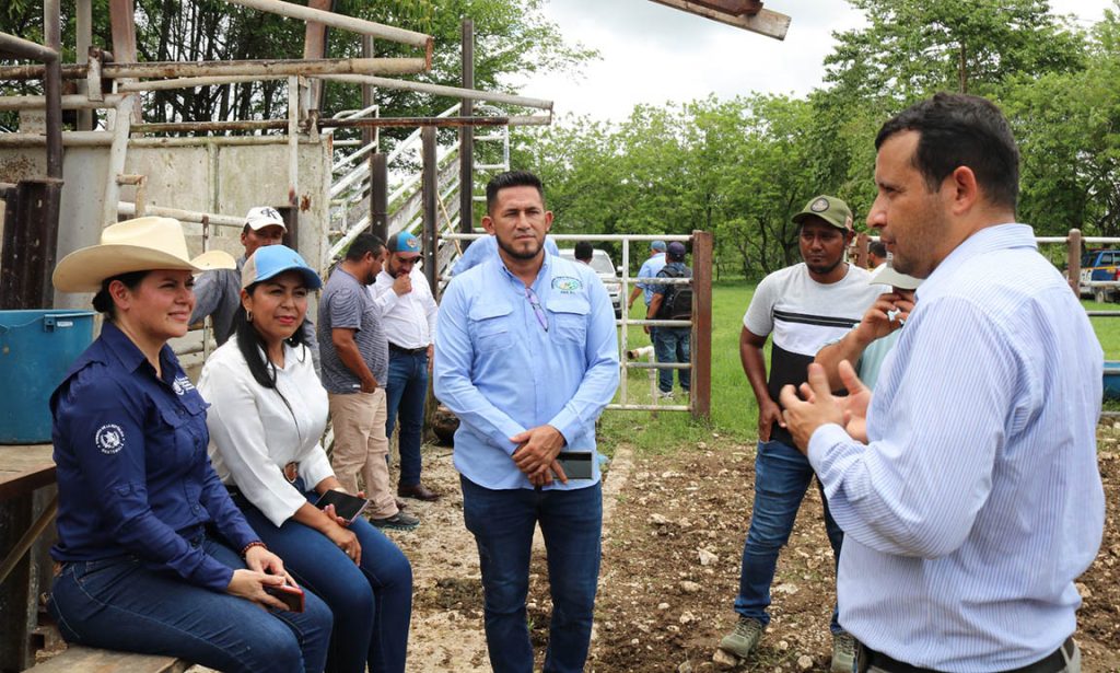 ICTA cumple 51 años de promover la ciencia y la tecnología agrícola - Ministerio de Agricultura ...