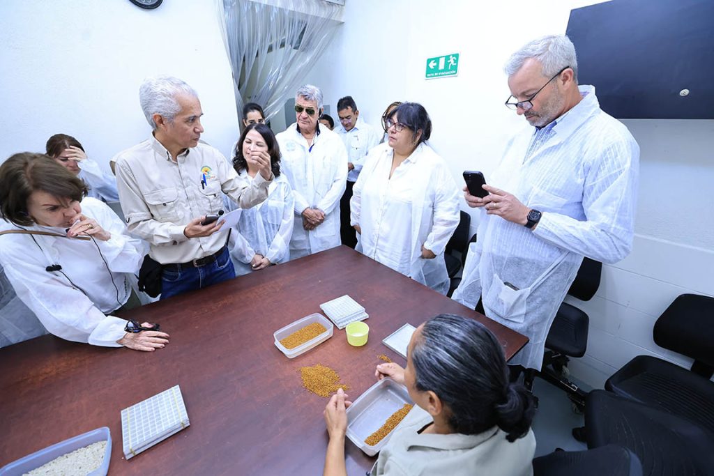 Fortalecen cooperación internacional en el Programa Moscamed Guatemala - Ministerio de ...