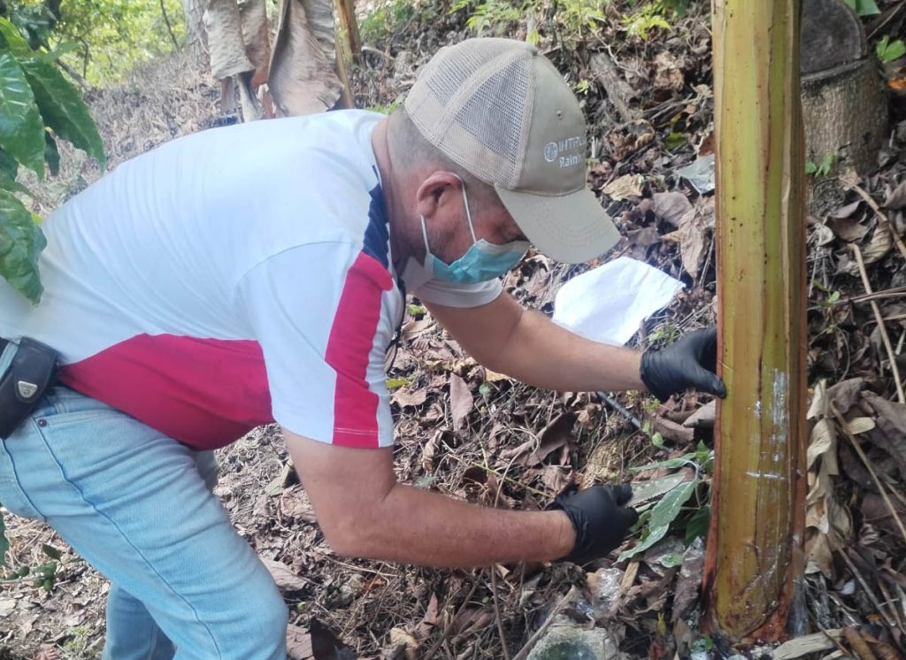Aprenda a qué se le llama rastrojo - Ministerio de Agricultura ...
