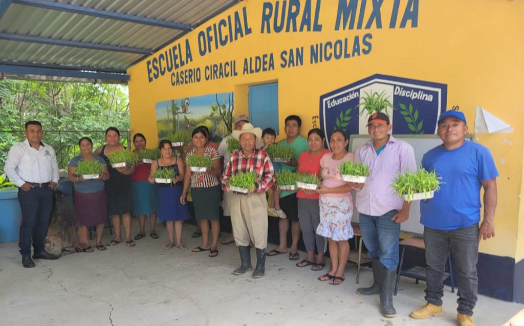 Los beneficios de la arveja china - Ministerio de Agricultura Ganadería ...