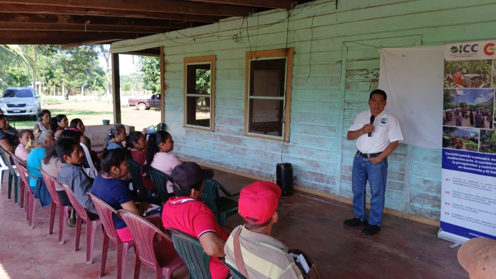 Los beneficios de la arveja china - Ministerio de Agricultura Ganadería ...