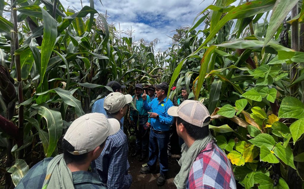 Conozca qué son los mojones y su importancia - Ministerio de ...